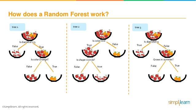 Random Forest Algorithm Random Forest Explained Random Forest In
