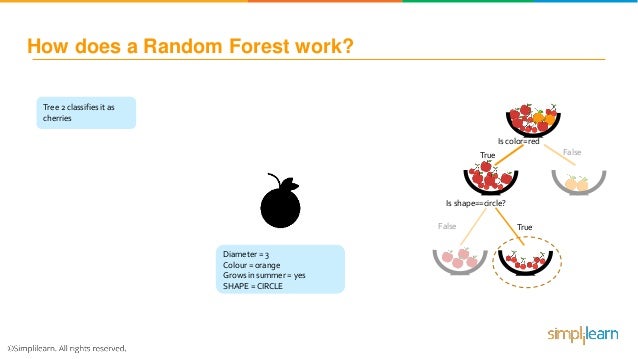 Random Forest Algorithm - Random Forest Explained | Random Forest In