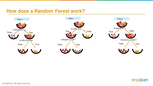 Random Forest Algorithm Random Forest Explained Random Forest In