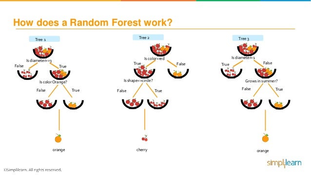 Random Forest Algorithm Random Forest Explained Random Forest In 