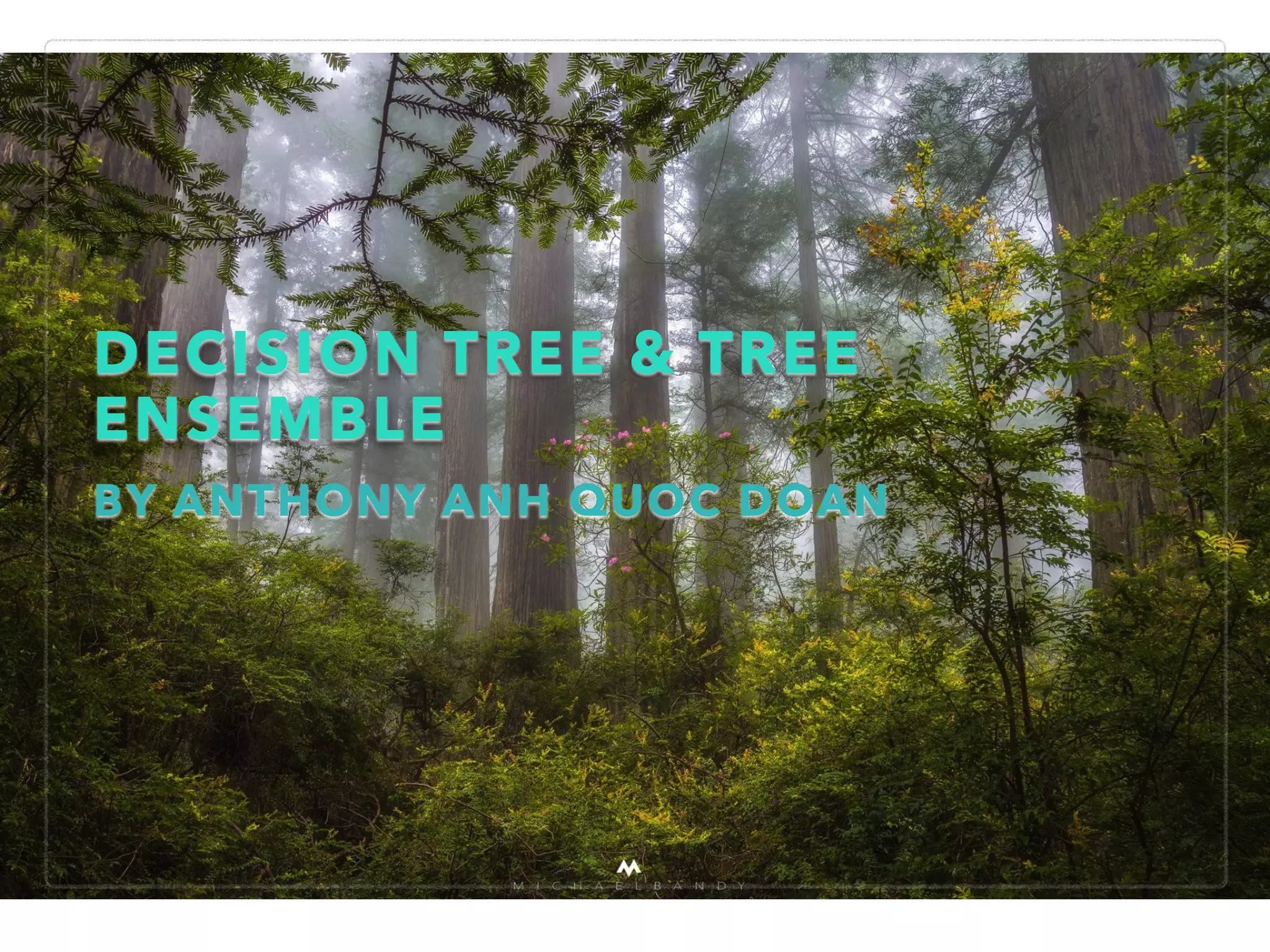 Random forest sgv_ai_talk_oct_2_2018 | PPT