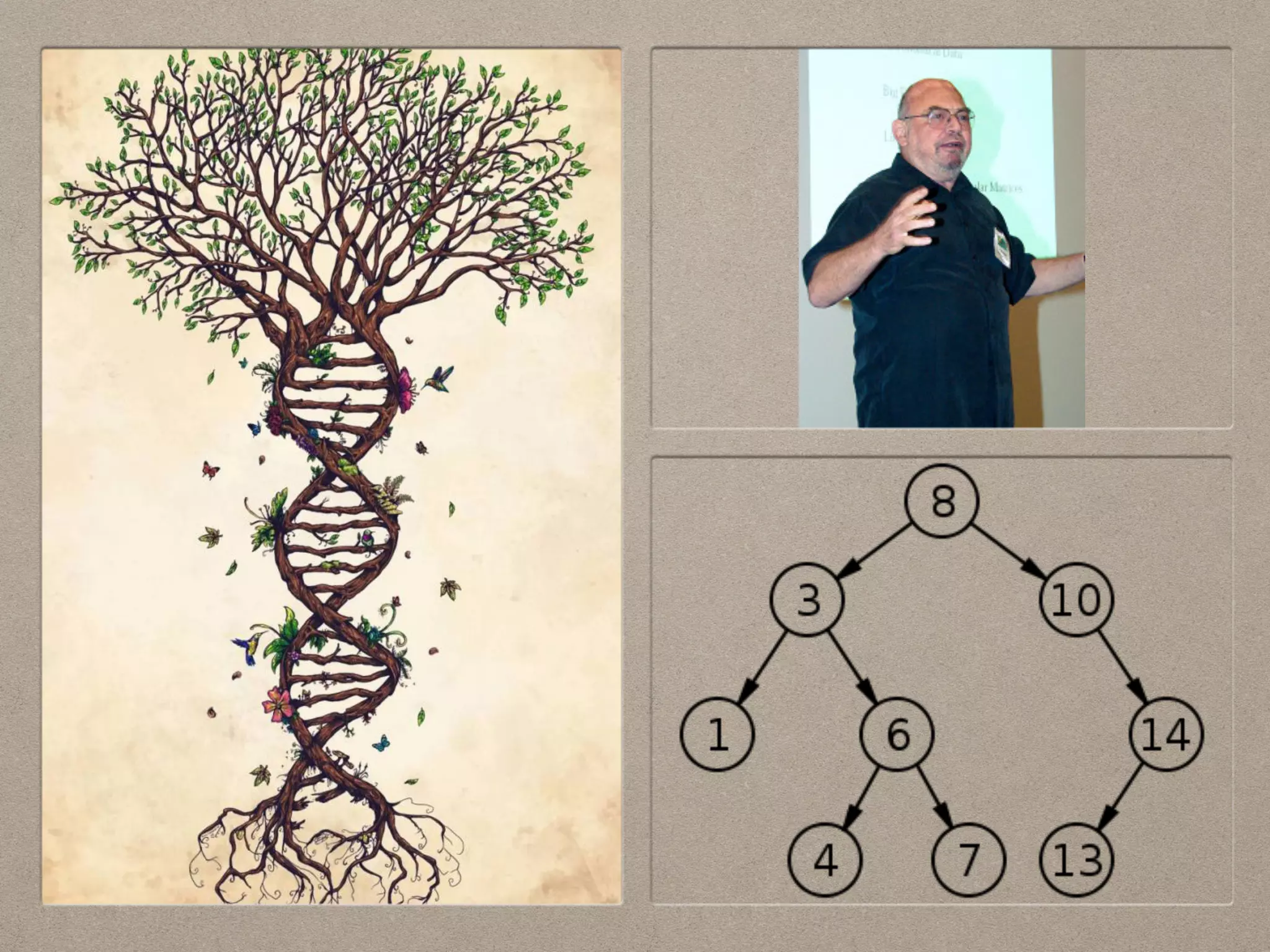 Random forest sgv_ai_talk_oct_2_2018 | PPT