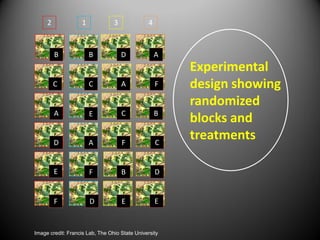 RandomizedCompleteBlockDesignTutorial.pdf