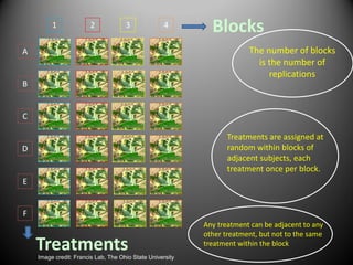 RandomizedCompleteBlockDesignTutorial.pdf
