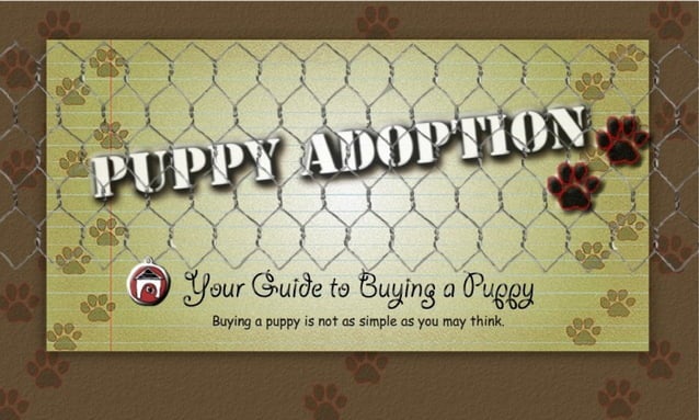 Randwick Tafe Protoype V2 | PPT