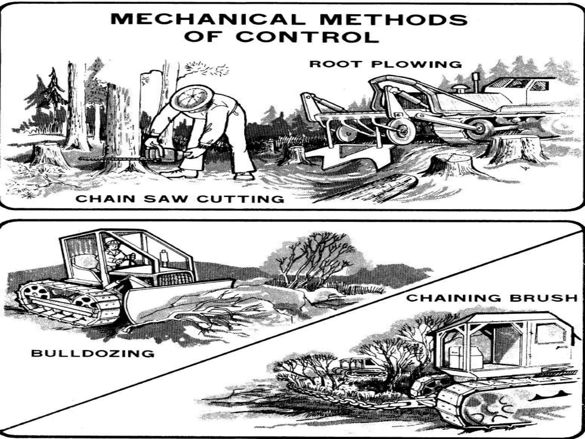 Rangeland Management | PPTX
