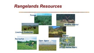 Rangeland | PPT