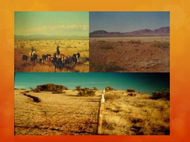 Rang-land management | PPTX | Agriculture | Industries