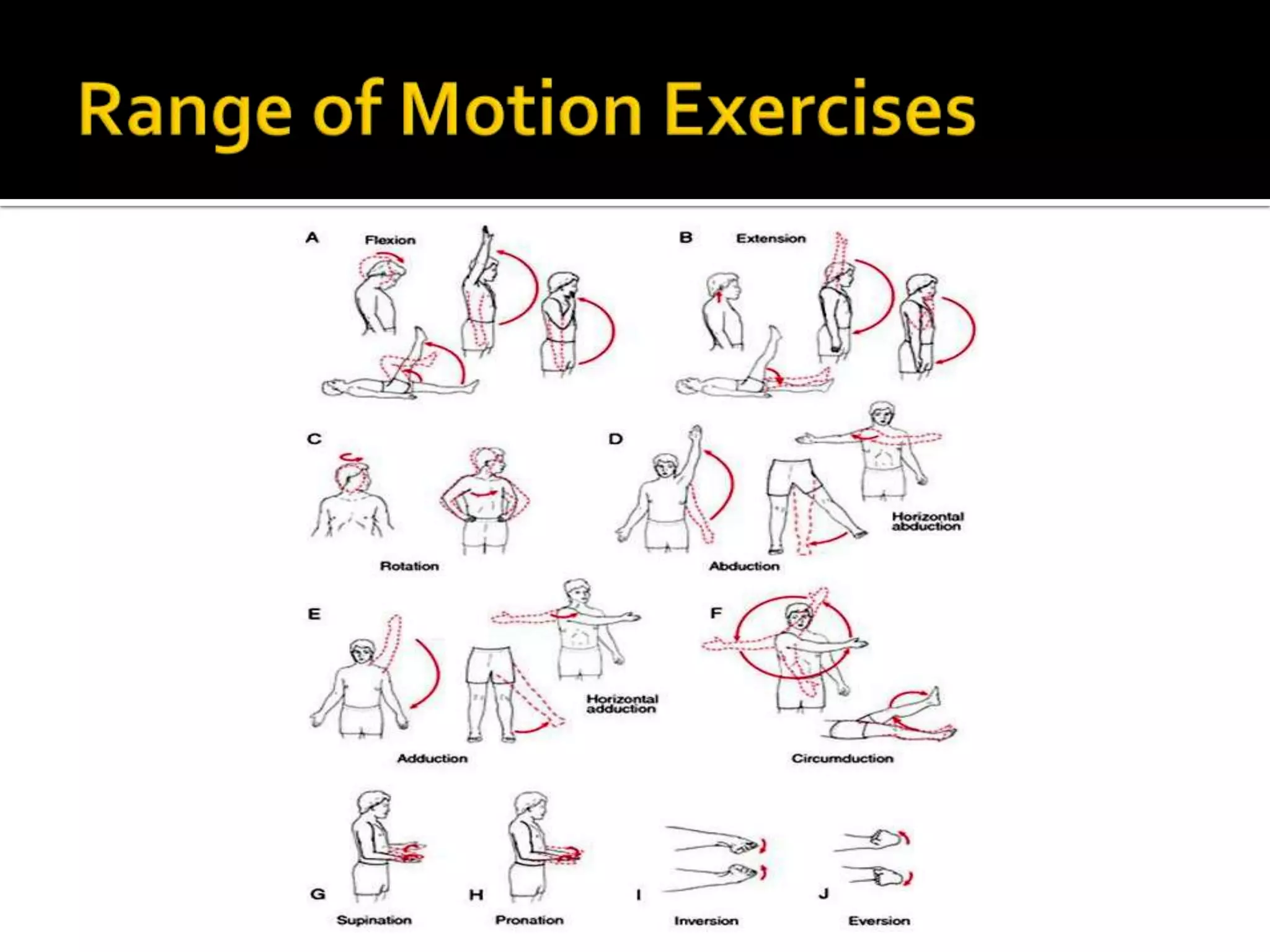 Range of motion | PPTX