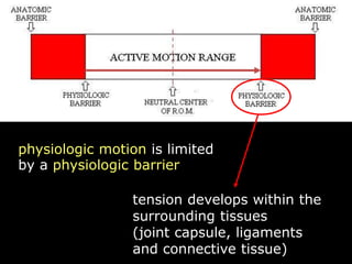 Functional Range Of Motion Testing