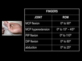 Active Range Of Motion Testing