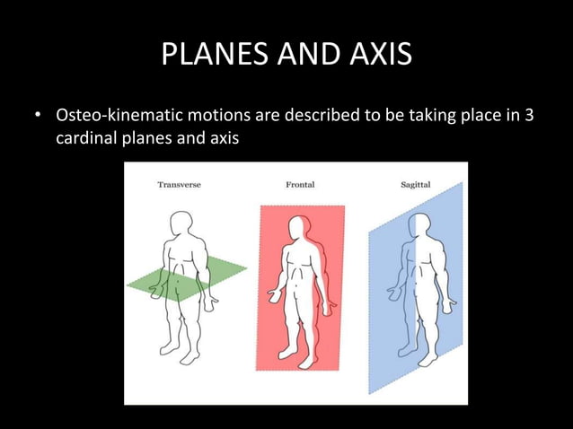 Range Of Motion Assessment | PPT