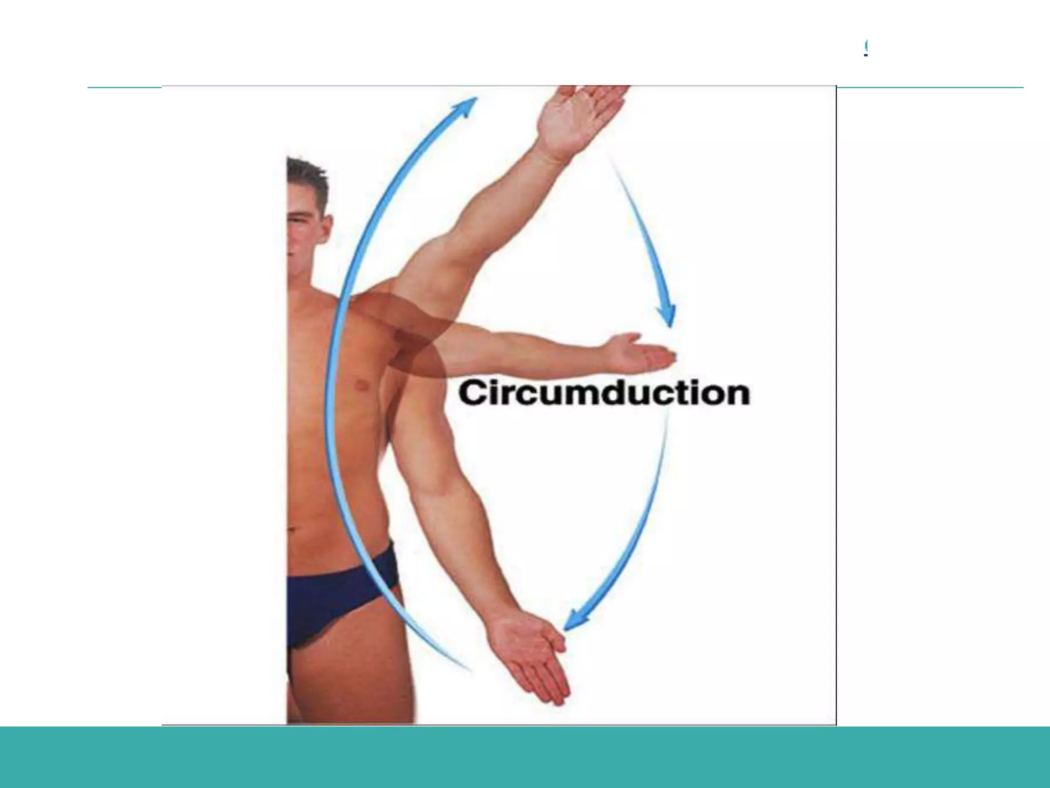 Range of motion exercises | PPTX