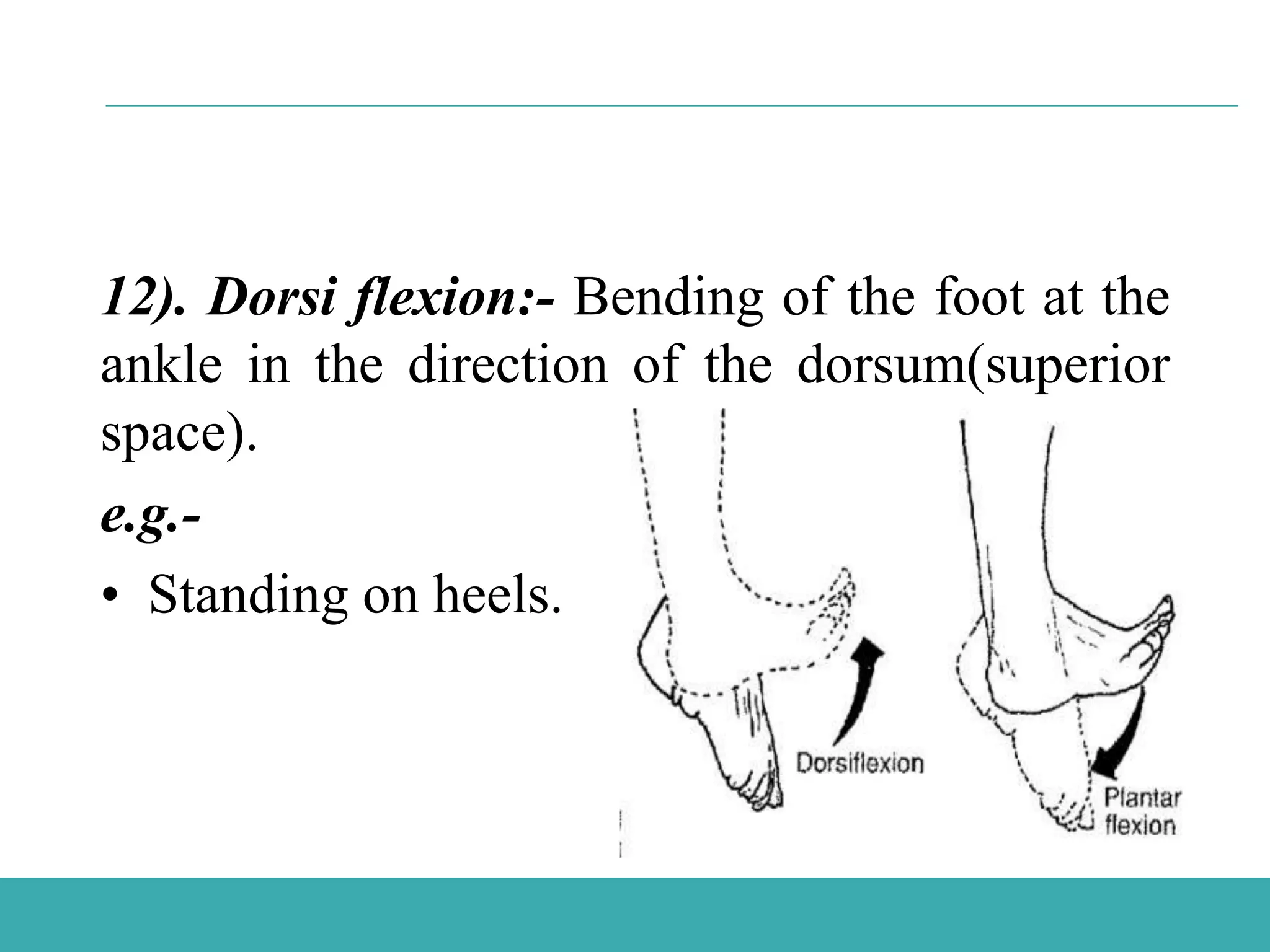 Range of motion exercises | PPTX