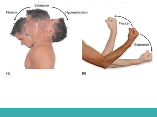 Range of motion exercises | PPTX