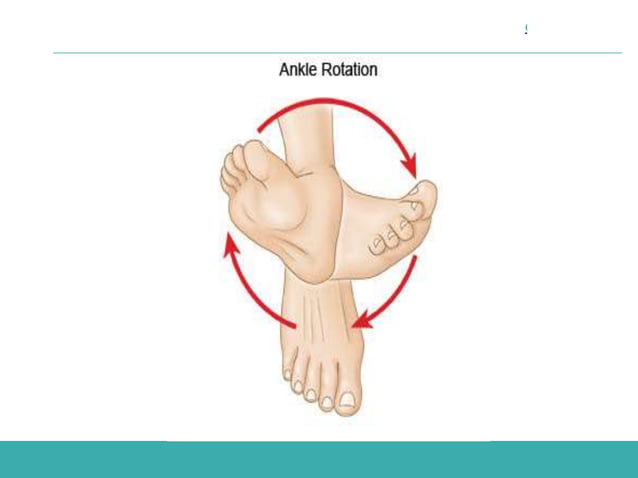 Range of motion exercises | PPTX