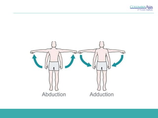 Range of motion exercises | PPT
