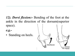 Ankle Range Of Motion
