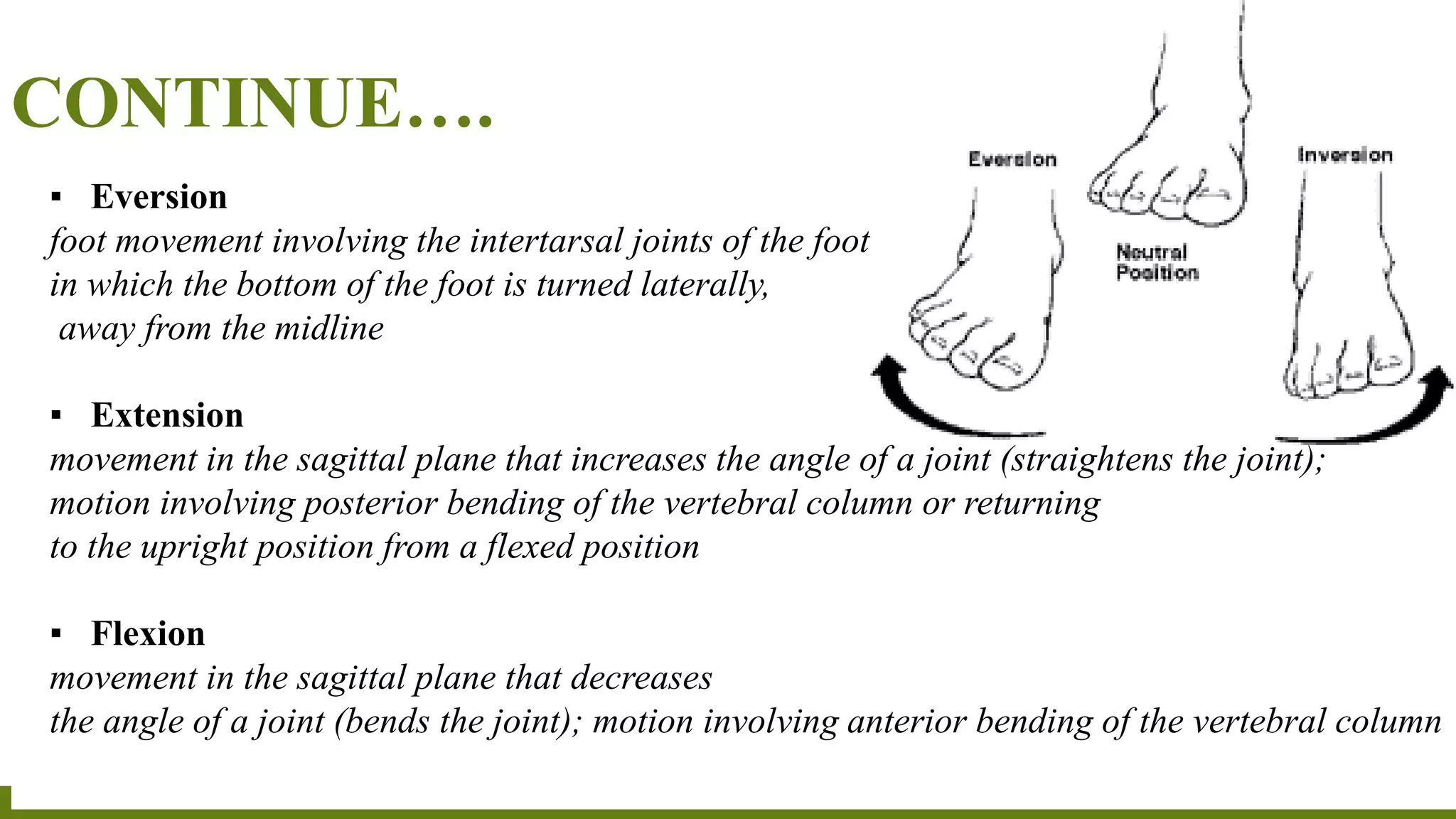 Range of motion exercises & | PPTX