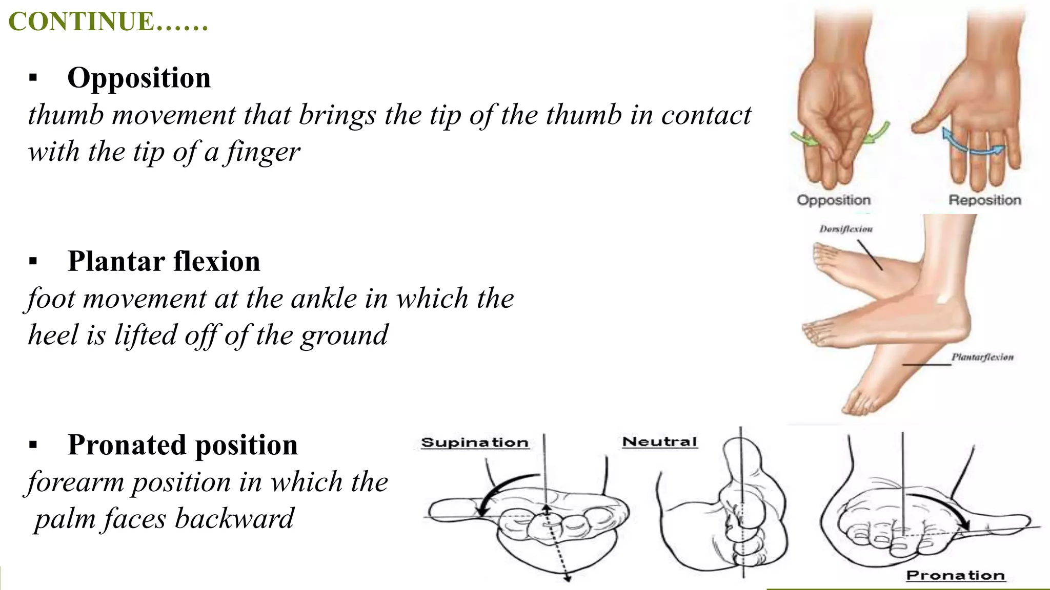 Range of motion exercises & | PPTX
