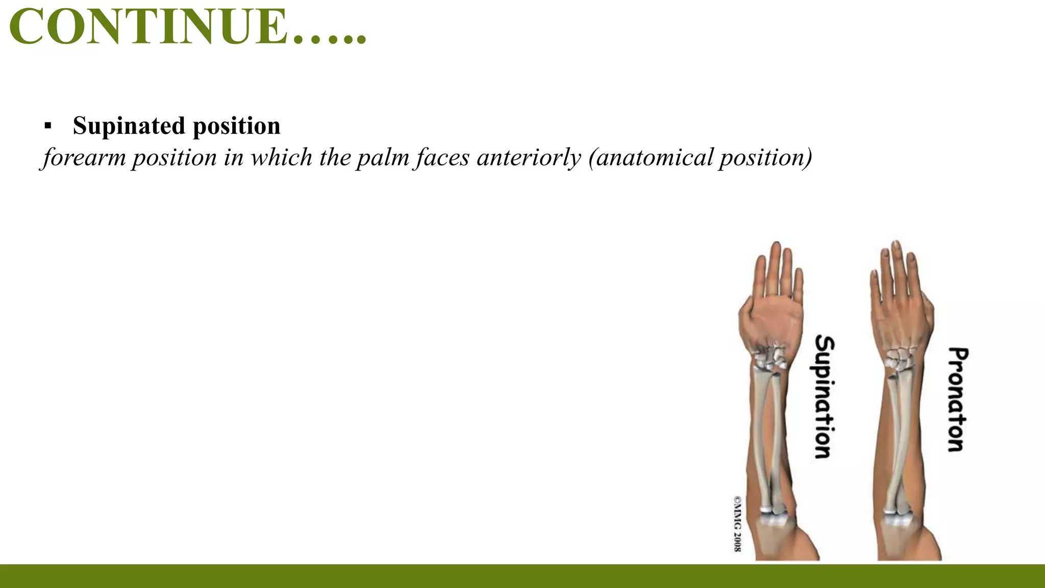 Range of motion exercises & | PPTX