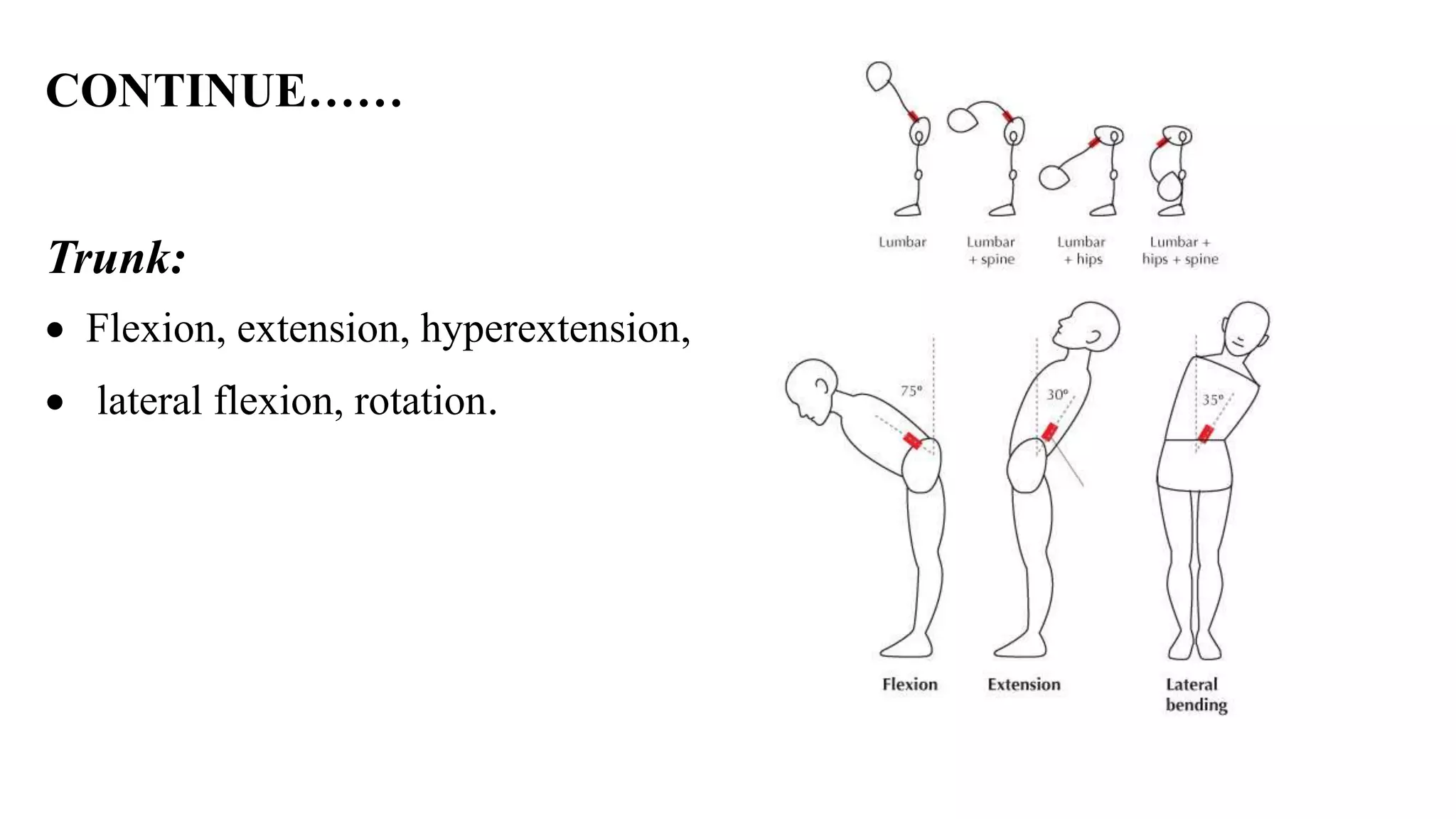 Range of motion exercises & | PPTX