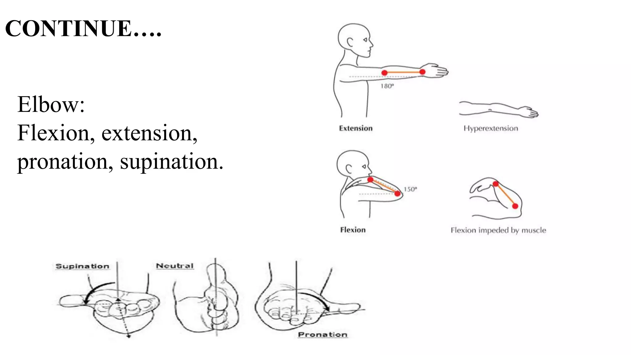 Range of motion exercises & | PPTX