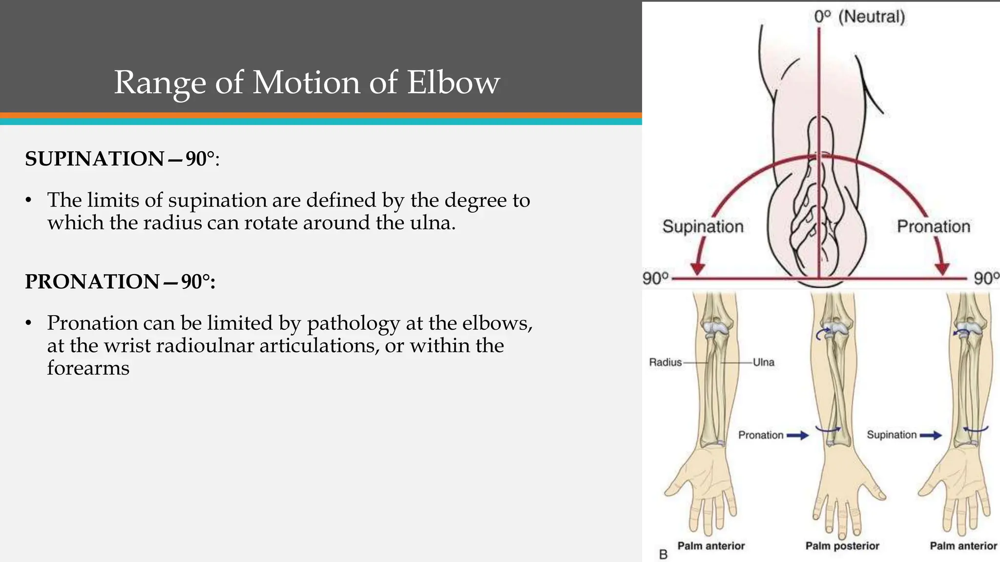 Range of Motion of Upper Limb.pptx