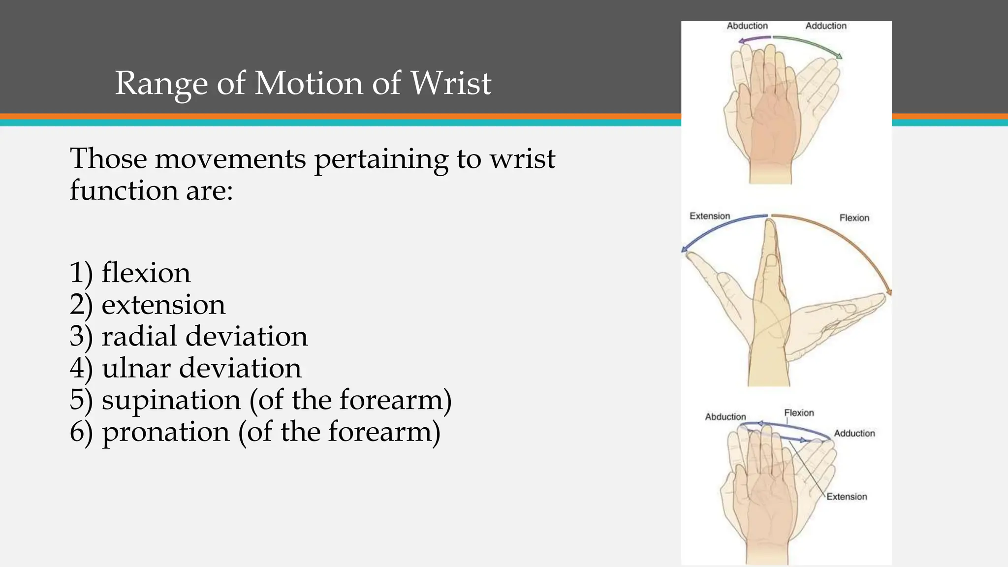 Range of Motion of Upper Limb.pptx