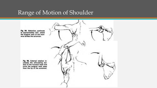 Range of Motion of Upper Limb.pptx