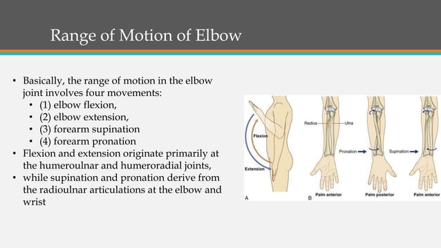Range of Motion of Upper Limb.pptx