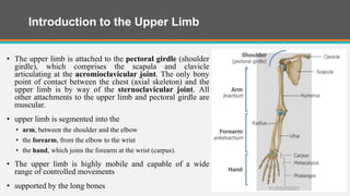 Range of Motion of Upper Limb.pptx