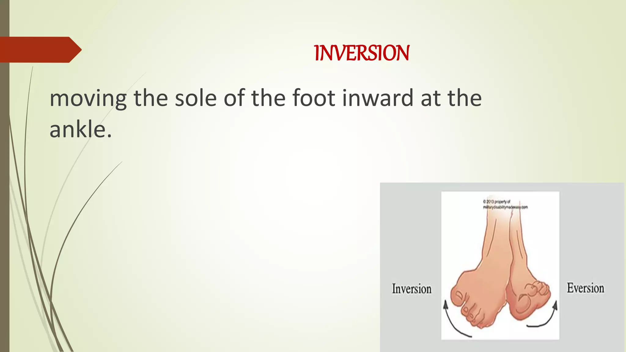 RANGE OF MOTION PT.pptx