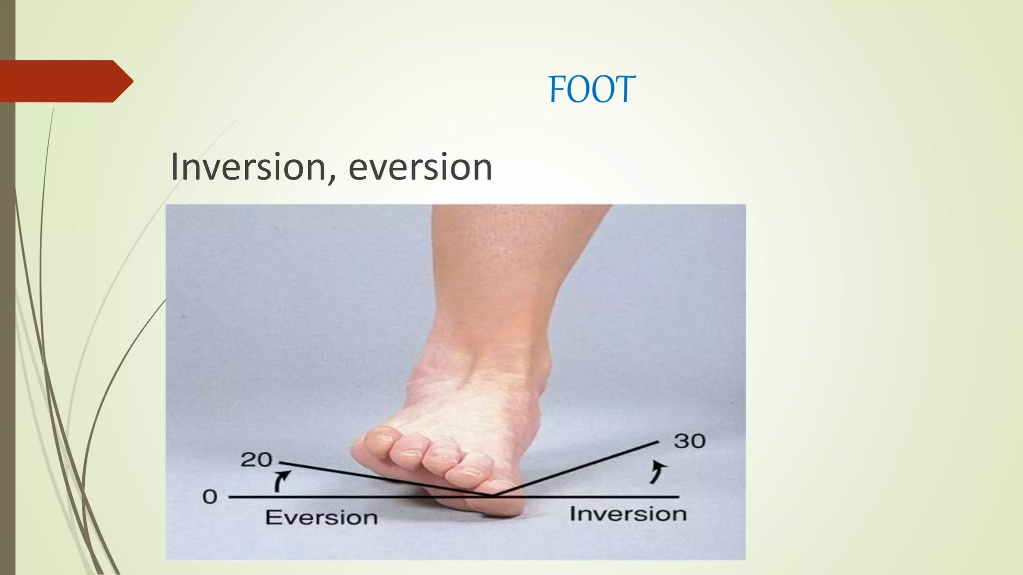 RANGE OF MOTION PT.pptx