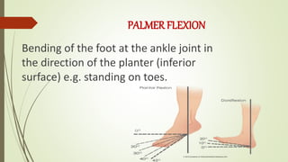 RANGE OF MOTION PT.pptx