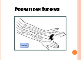 Range Of Motion (ROM) | PPTX