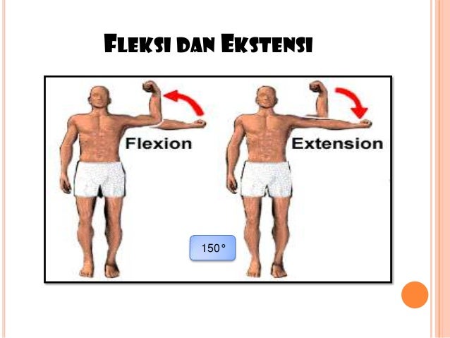 Range Of Motion (ROM)