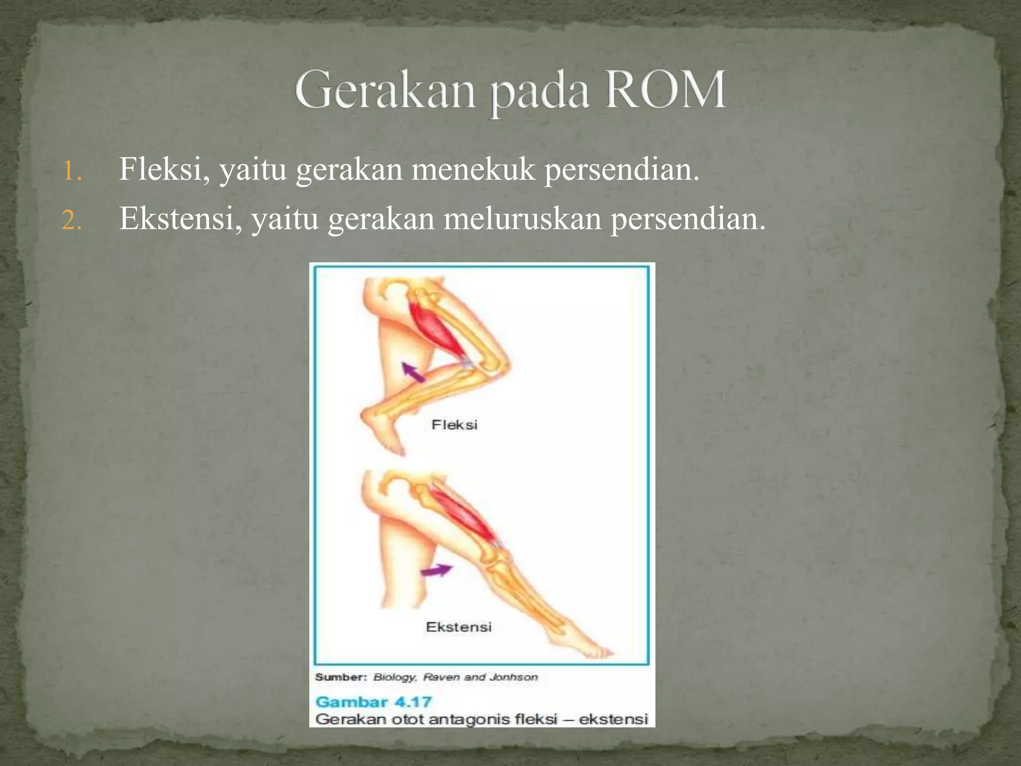 Range of motion (rom) | PPTX