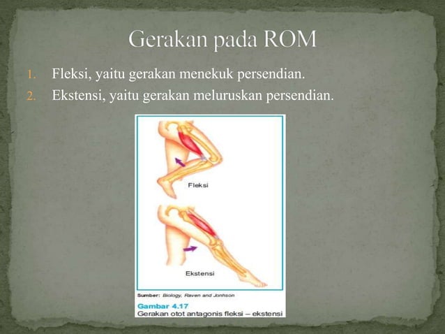 Range of motion (rom) | PPTX
