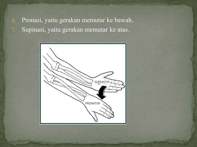 Range of motion (rom) | PPTX