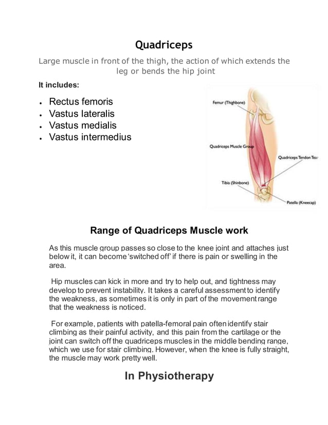 Range of muscle work | DOCX | Death, Injury, or Military Conflict ...