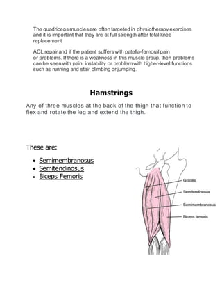 Range of muscle work | DOCX