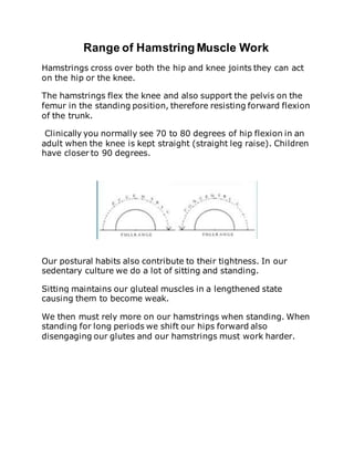 Range of muscle work | DOCX