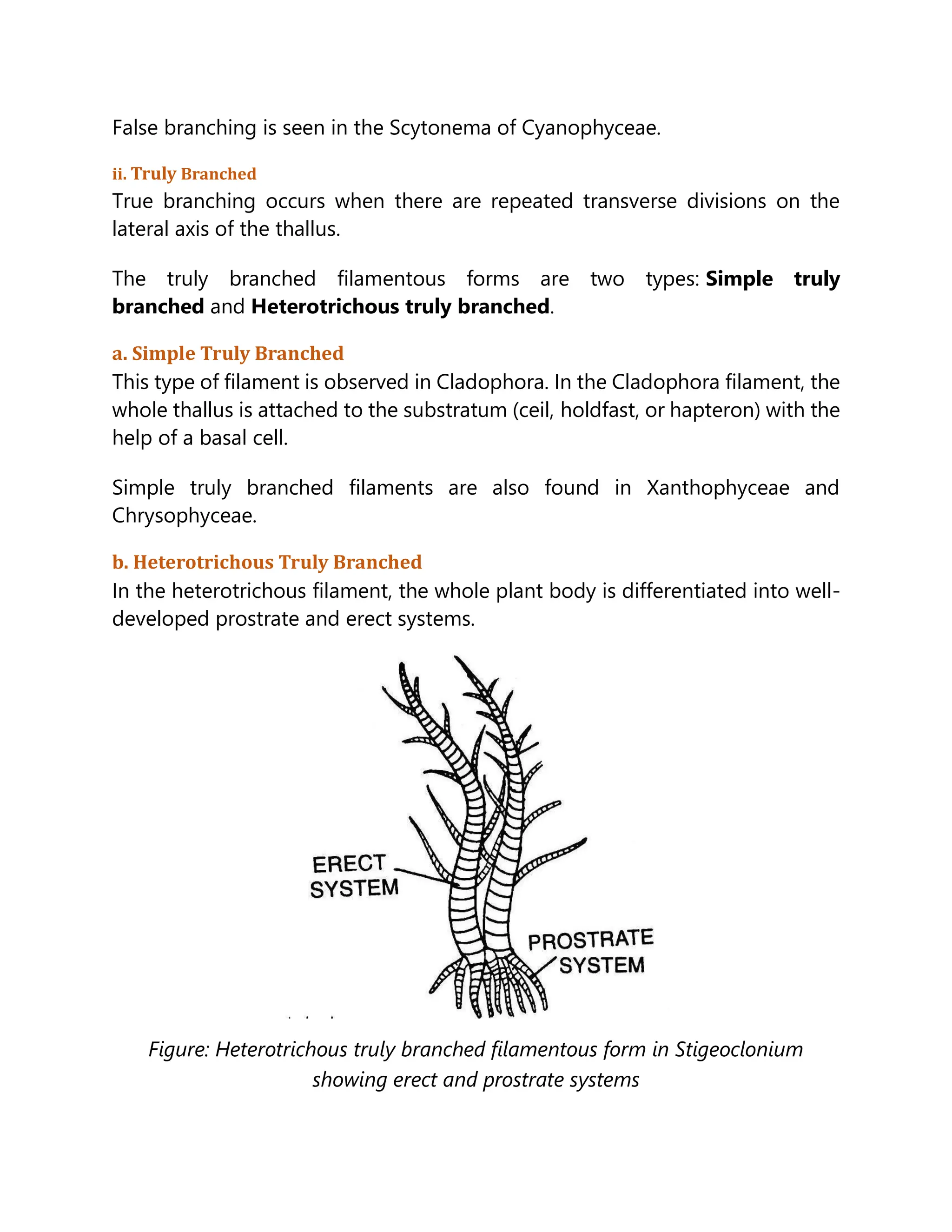 Range of Thallus Structure in Algae Full pdf | PDF
