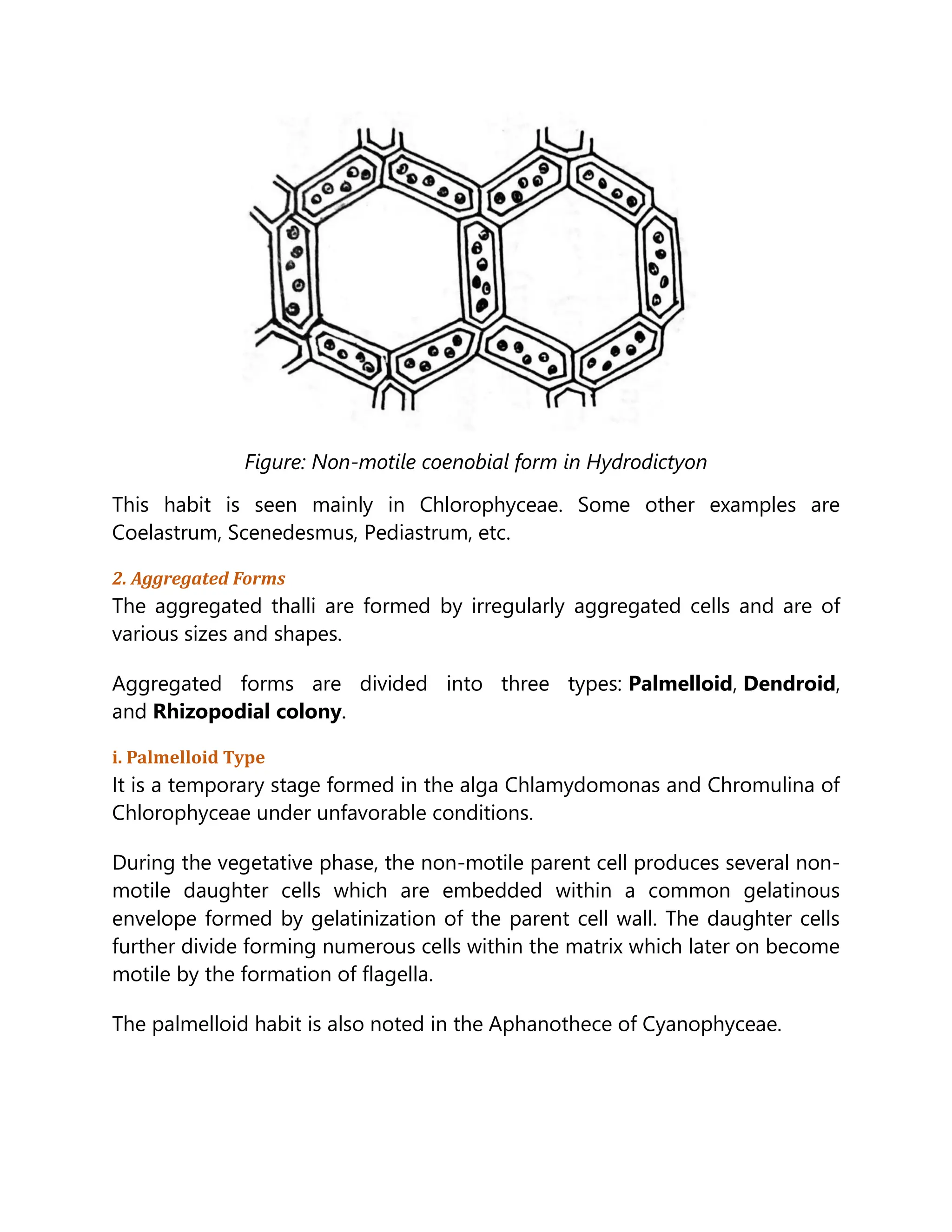 Range of Thallus Structure in Algae Full pdf | PDF