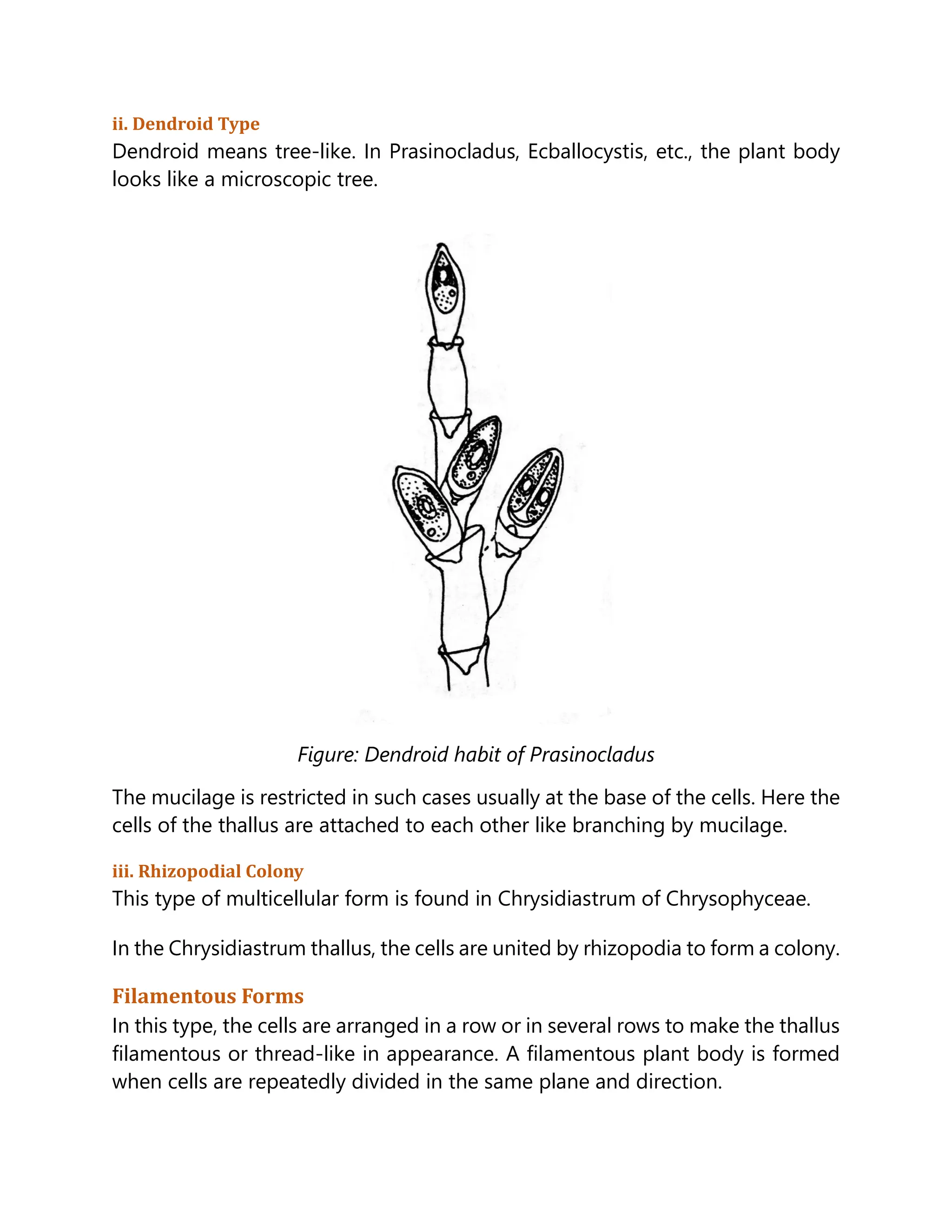 Range of Thallus Structure in Algae Full pdf | PDF