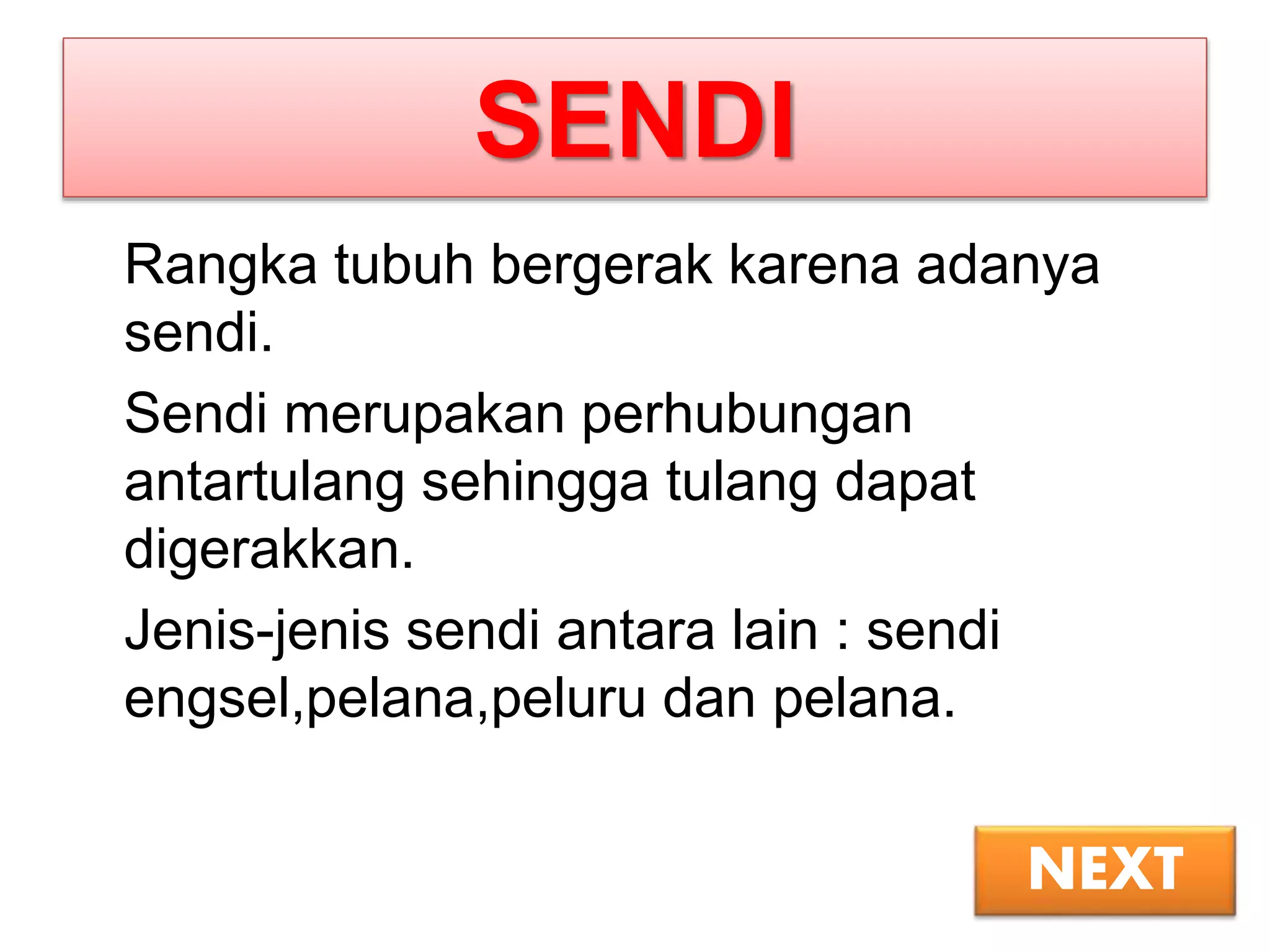 Rangka Dan Sendi | PPTX