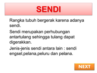 Rangka Dan Sendi | PPTX
