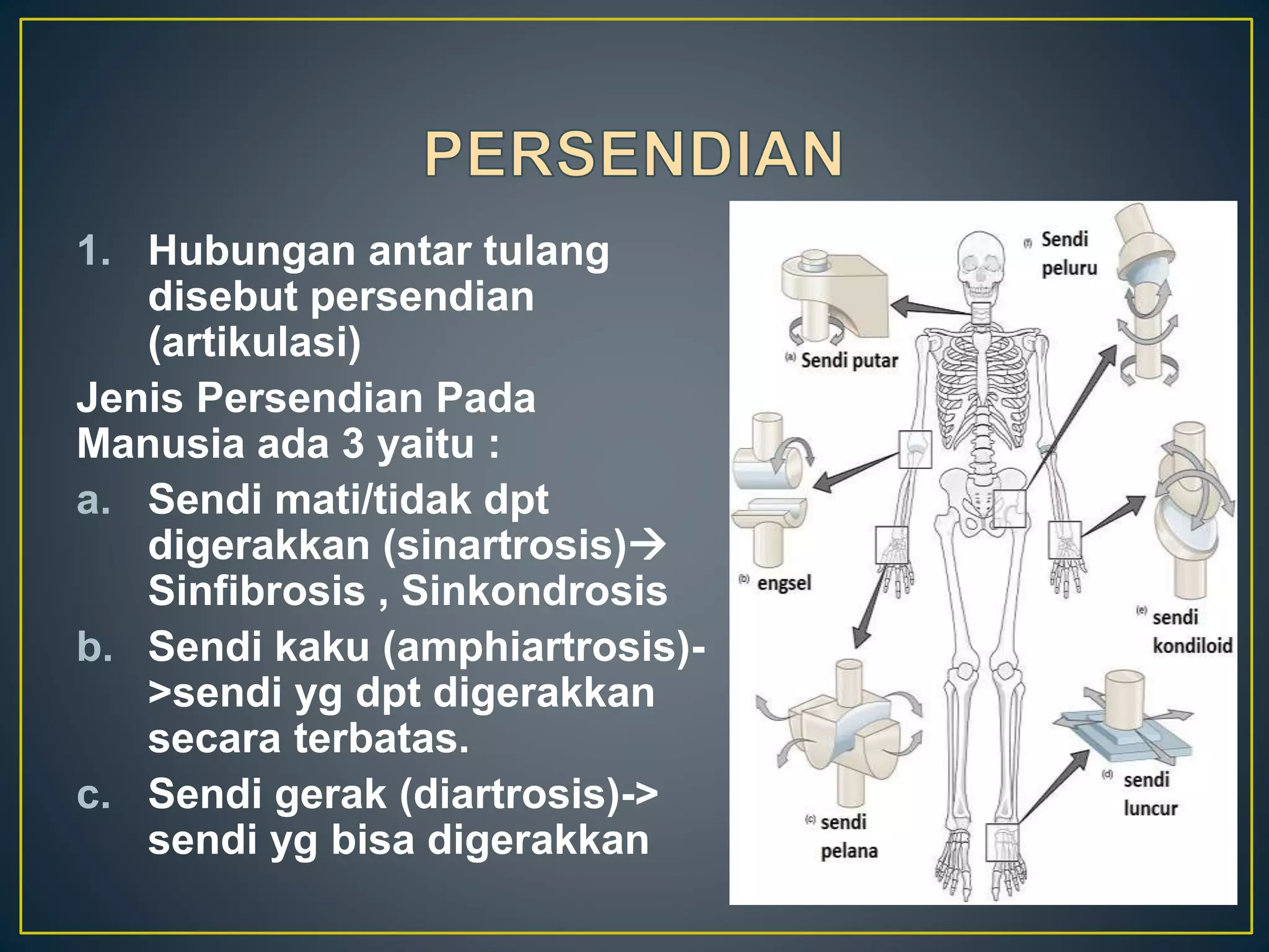 Rangka dan sendi | PPSX