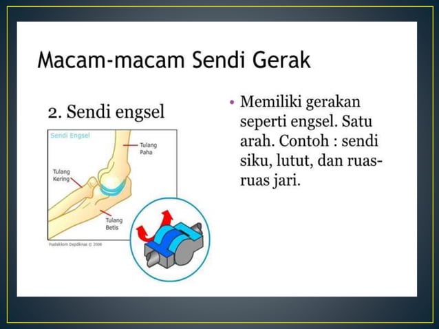 Rangka dan sendi | PPSX